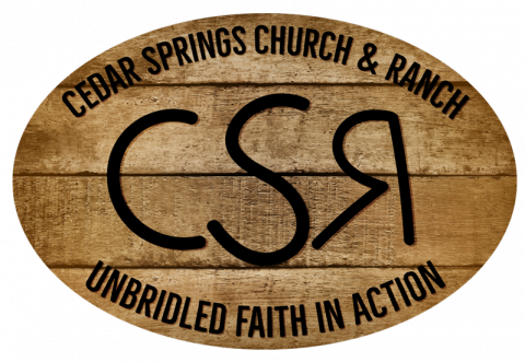 Cedar Springs Ranch - Therapeutic Horsemanship