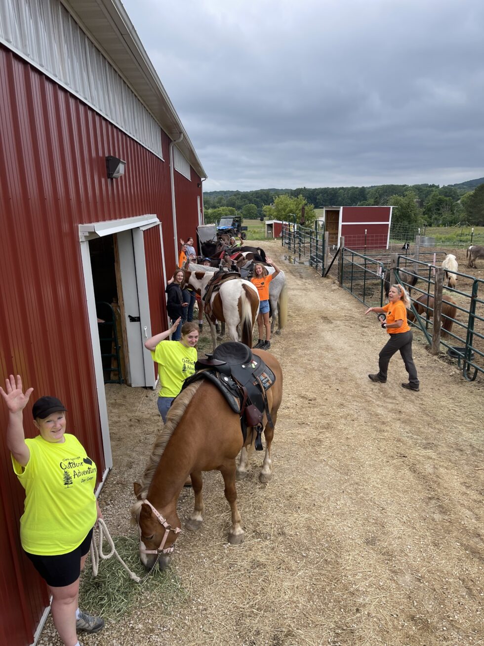 About Cedar Springs Therapeutic Ranch - Slinger WI